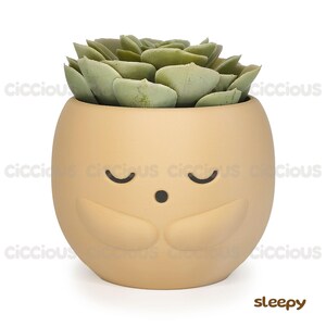 Sleepy - Cute 3D Printed Planters | Adorable Ciccious Pots for Fake or ...
