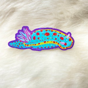 Nudibranchs Sea Slug Holographic Vinyl Sticker Pack - Etsy