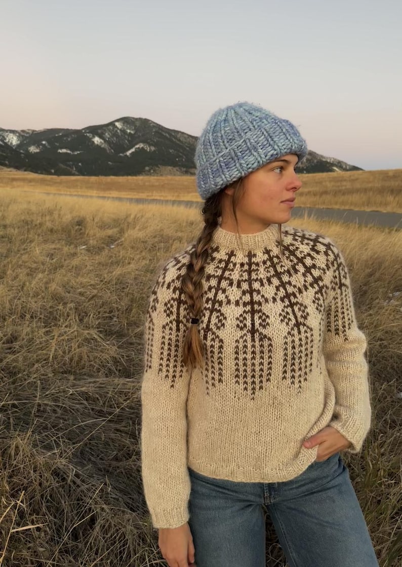 PATTERN – the Bison Sweater - Etsy