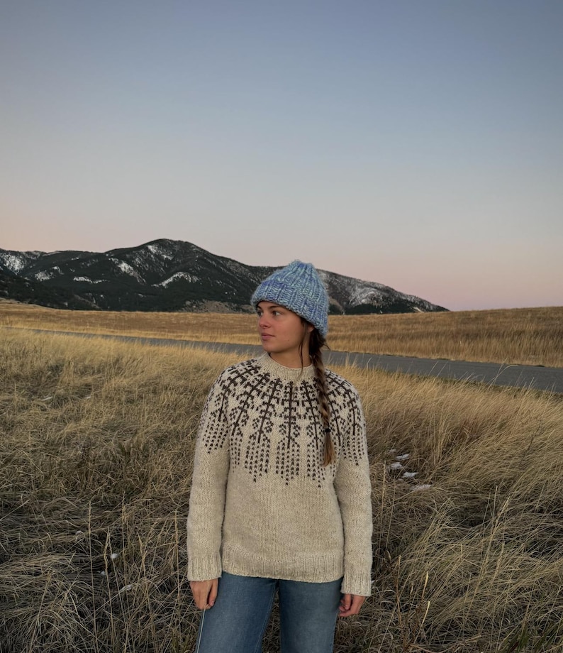 PATTERN – the Bison Sweater - Etsy