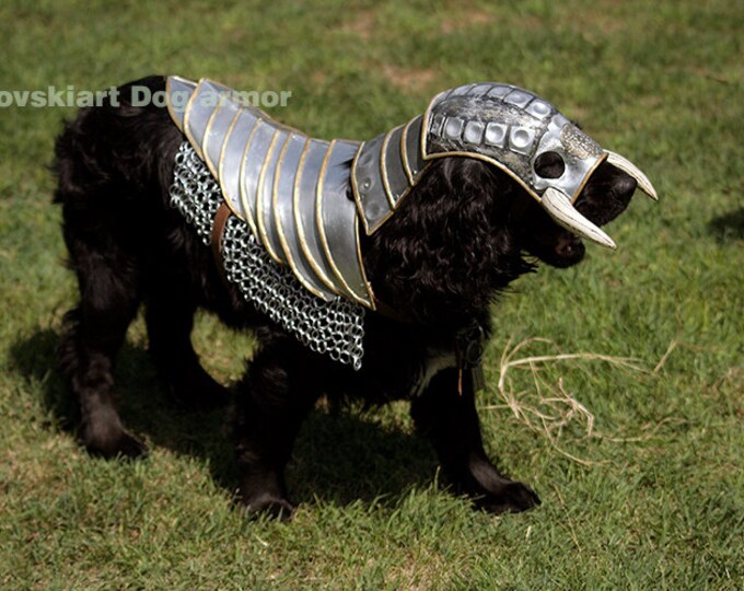 Fantasy Dog Knight Armor Aluminum Suit - Etsy