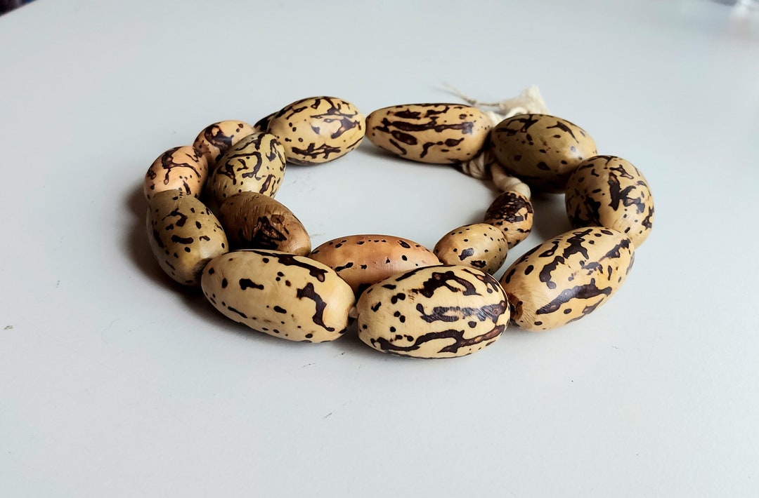 16 Raffia Palm Nuts From Western Africa, Graduated Strand, Organic ...