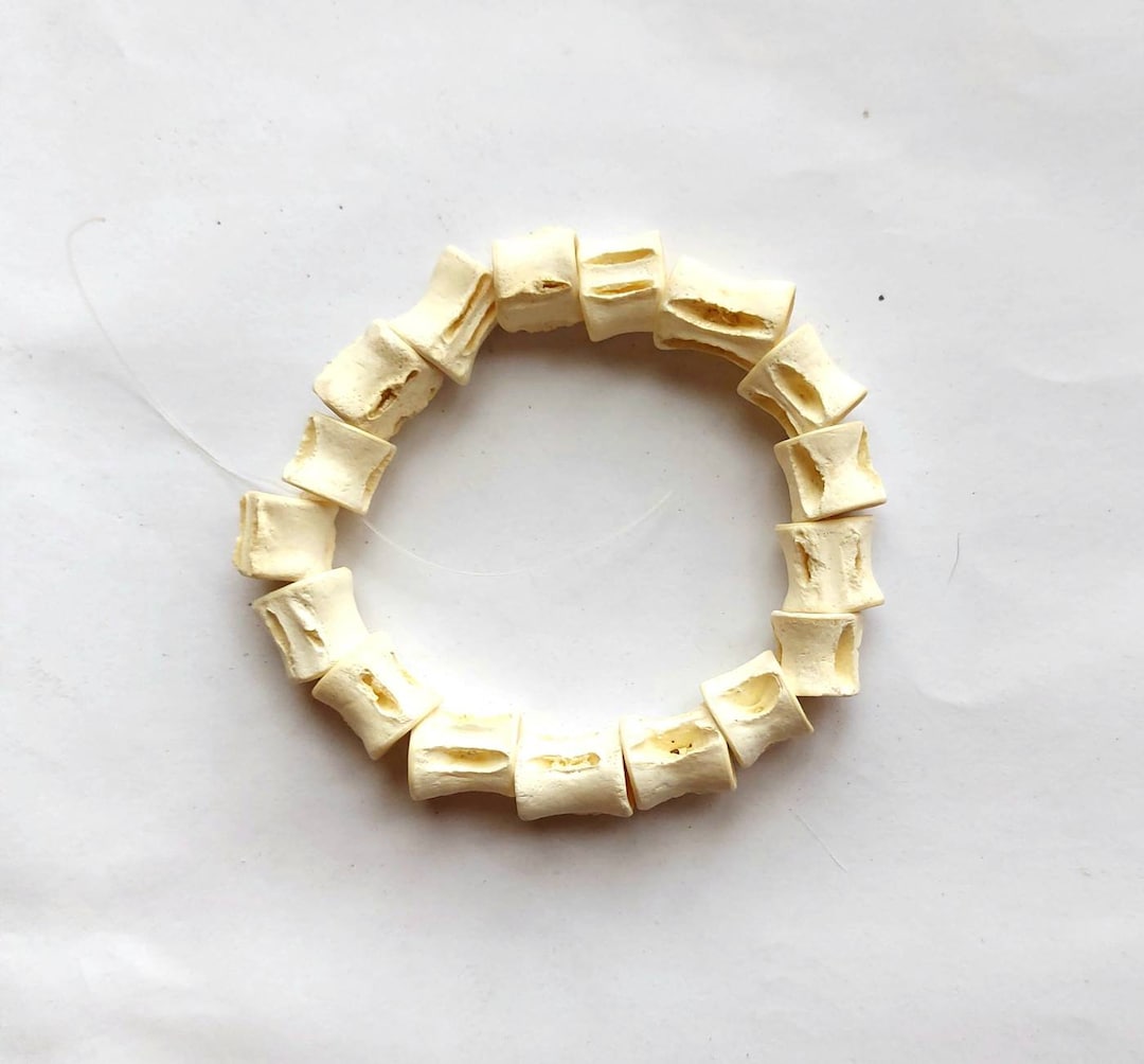 18 Fish Bone Beads 11 Mm.diam Strand 8 Organic - Etsy