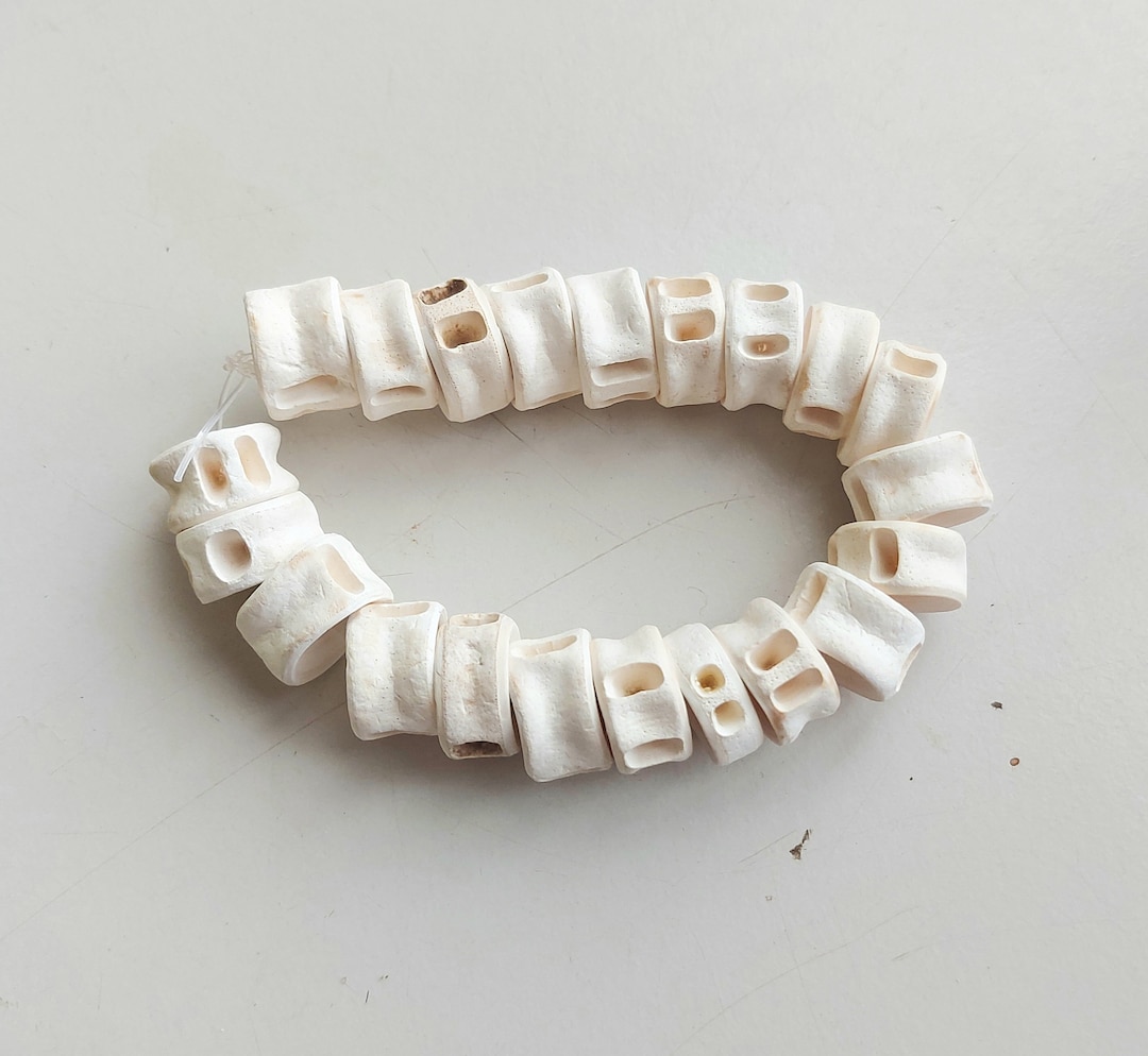 21-22 Fish Bone Beads 15-17 X 9-10 Mm., Strand 8, Rondelle, Fish ...