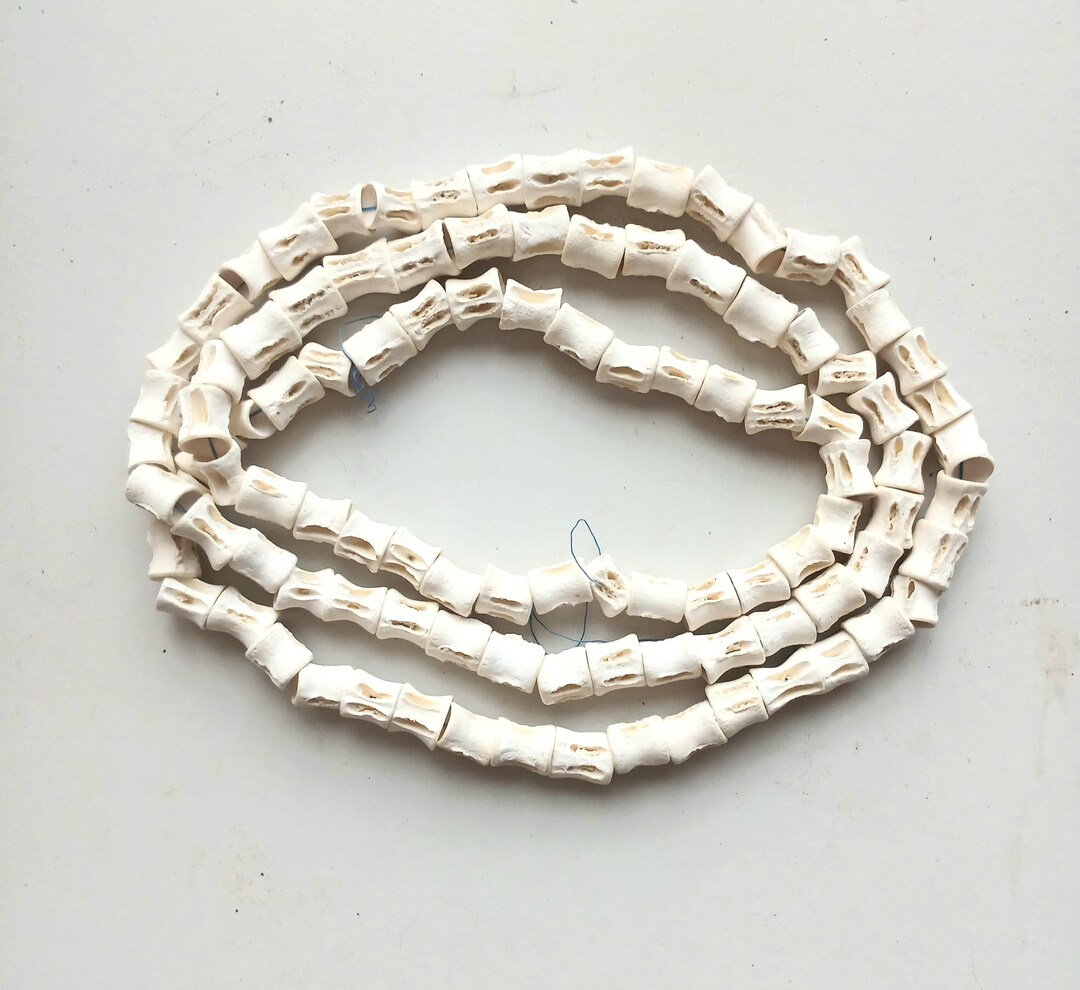 44 Inches String, 10 × 11-12 Mm. Fish Bone Beads, Fish Vertebrae ...