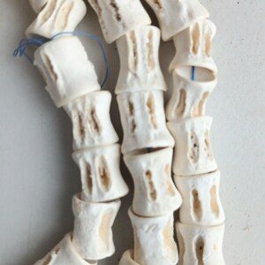 44 Inches String, 10 × 11-12 Mm. Fish Bone Beads, Fish Vertebrae ...