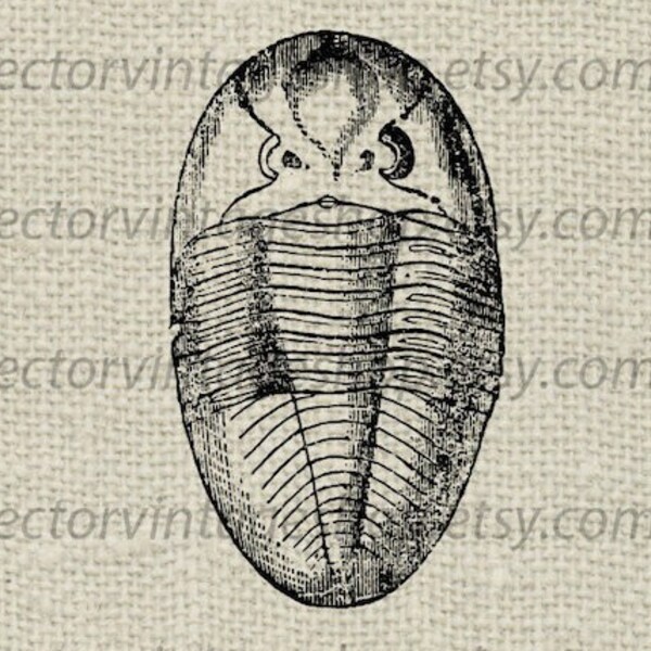 LARYNX SVG File, Anatomy Diagram, Vintage Vector Clipart, Medical ...