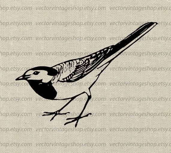 BIRD SVG File Vintage Vector Clipart Commercial Use | Etsy