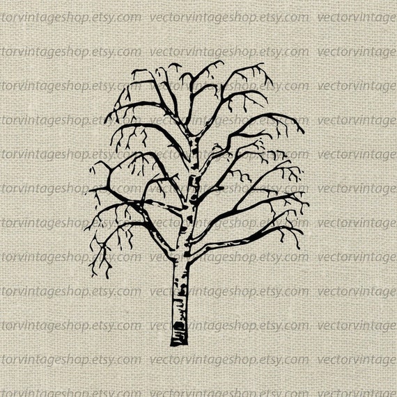 BIRCH TREE SVG File Vintage Vector Illustration Leafless | Etsy