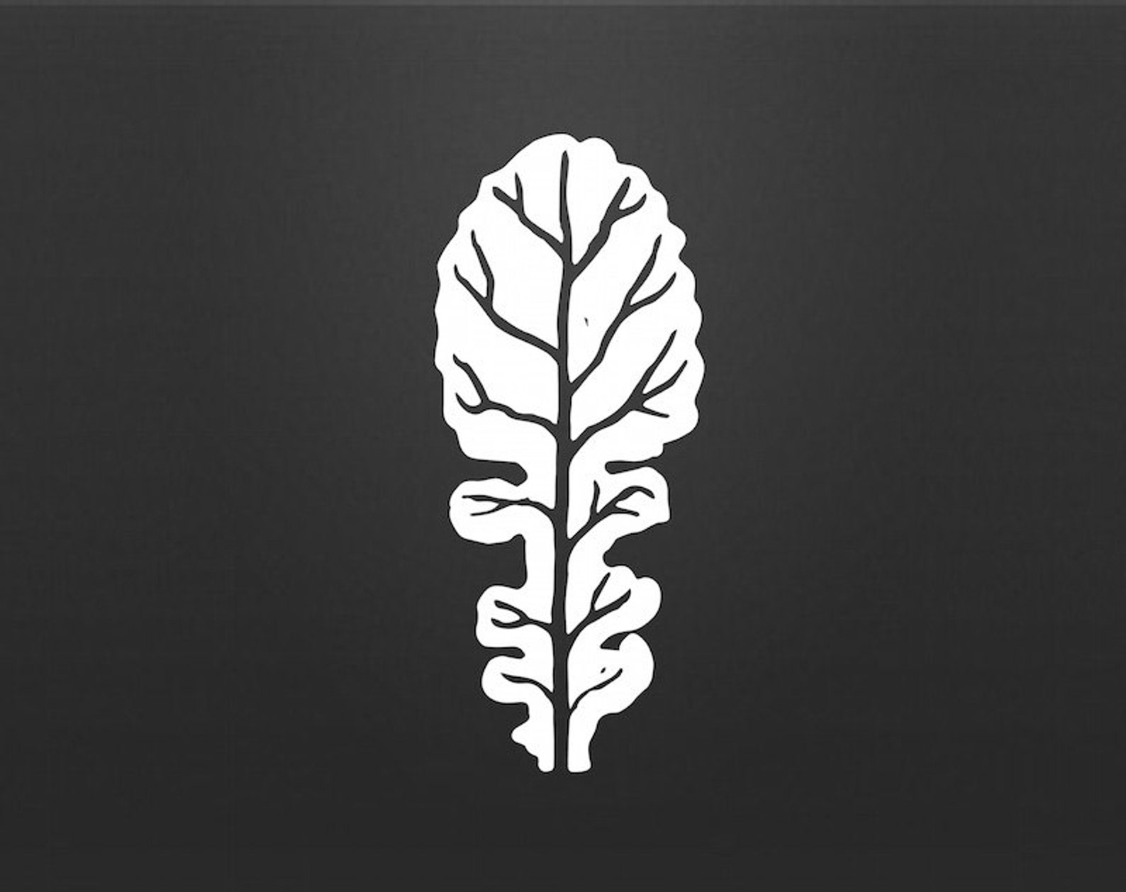 KALE SVG File, Silhouette Clipart, Vegetable Leaves Vector Clip Art ...