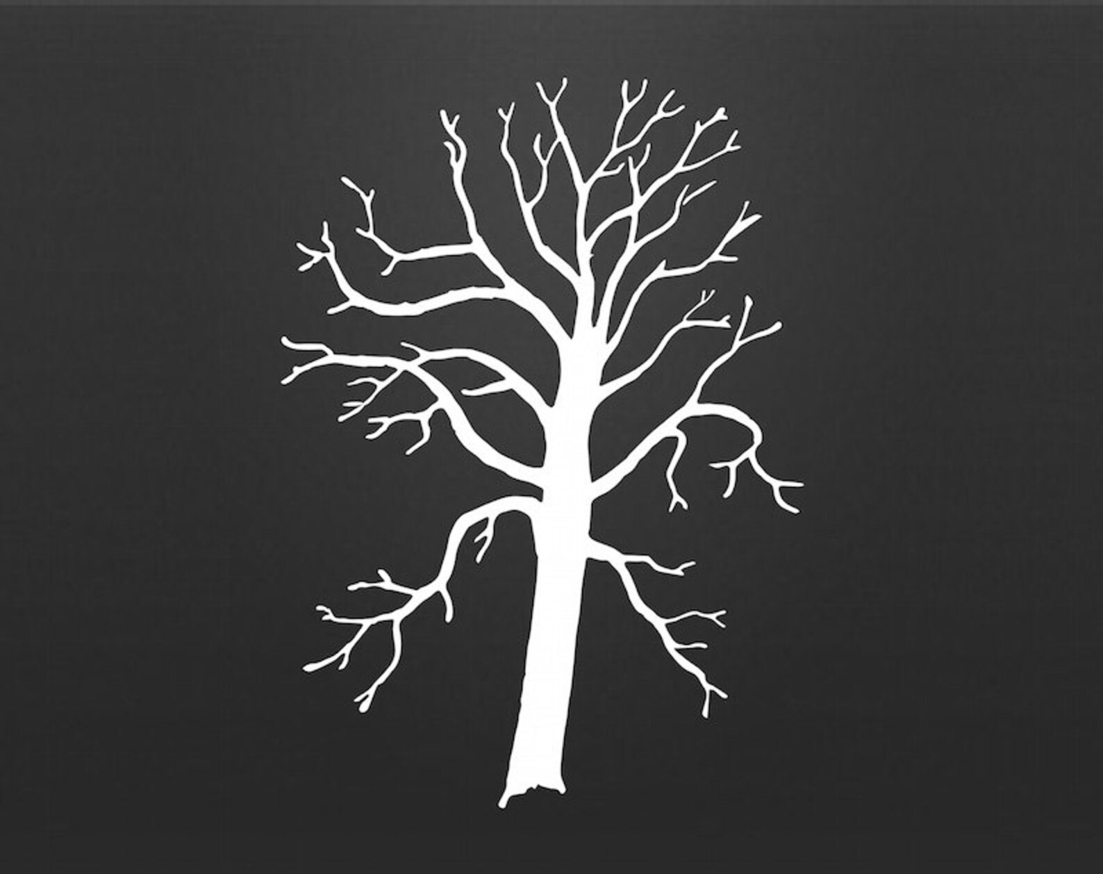 BEECH TREE SVG File, Tree Silhouette Clip Art, Bare Leafless Tree ...