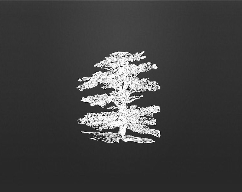 CEDAR SVG File Vintage Vector Clipart Evergreen Cedar of - Etsy