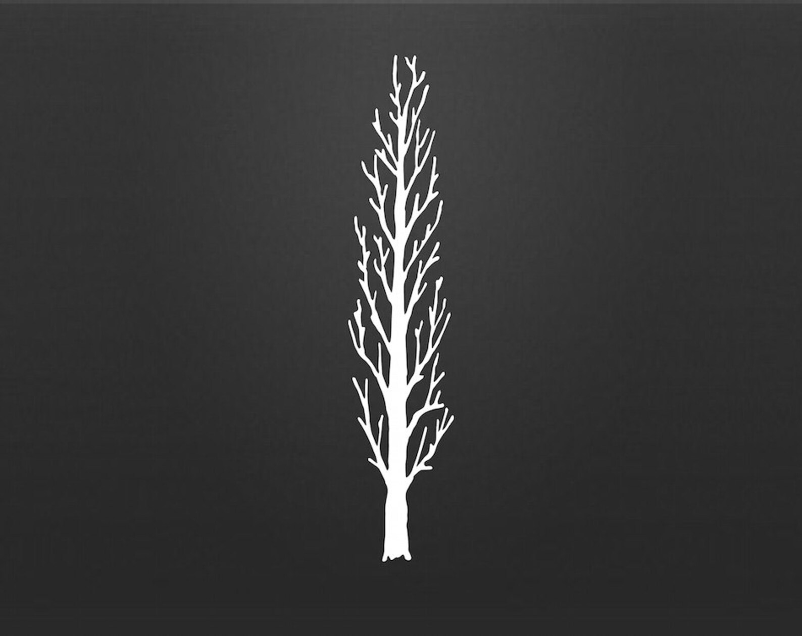 Cottonwood Tree Silhouette SVG: Winter Woodland Clipart - Etsy
