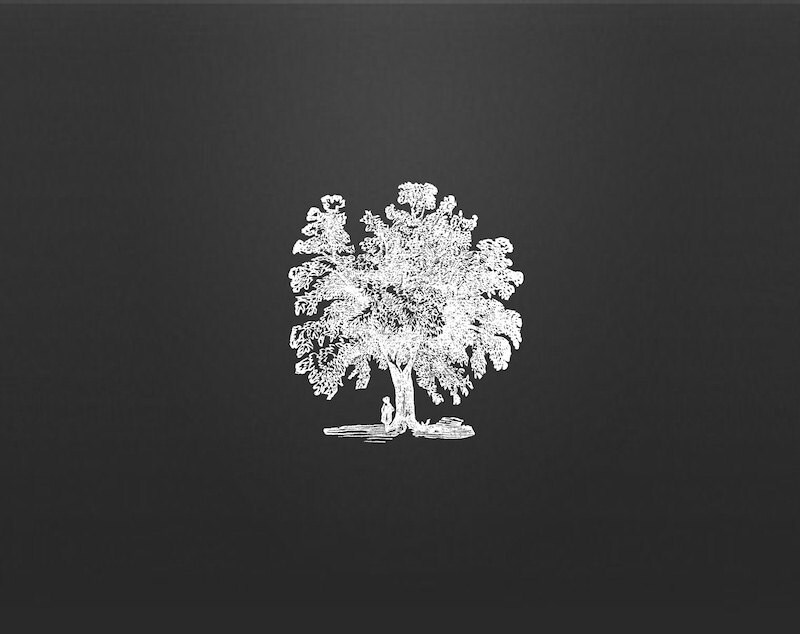 MANGO TREE SVG File, Vintage Clip Art, Exotic Fruit Tree Graphic ...