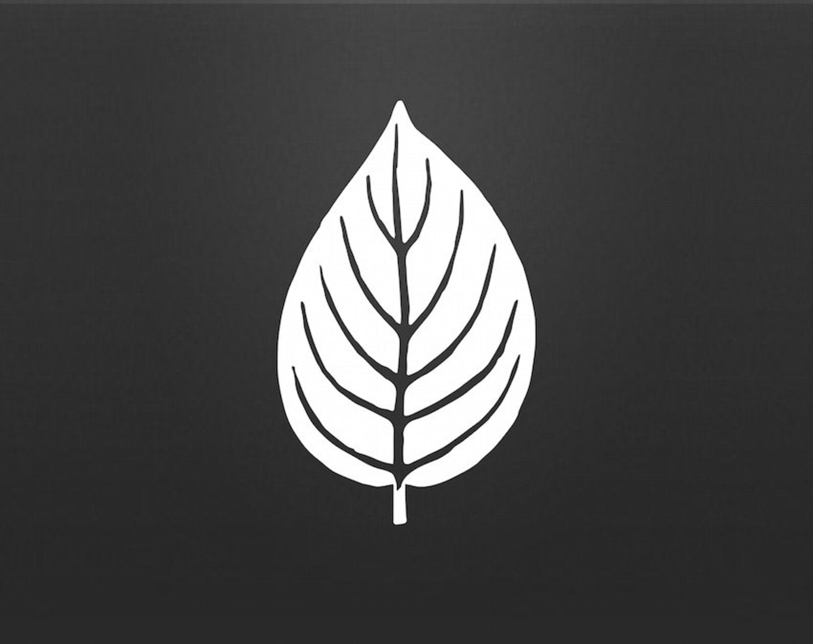 LEAF SILHOUETTE SVG, Round Leaf Vector Clip Art, Botanical Art ...