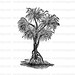 SCREWPINE Tree SVG File, Vintage Tree Vector, Pandanus, Tropical Theme ...