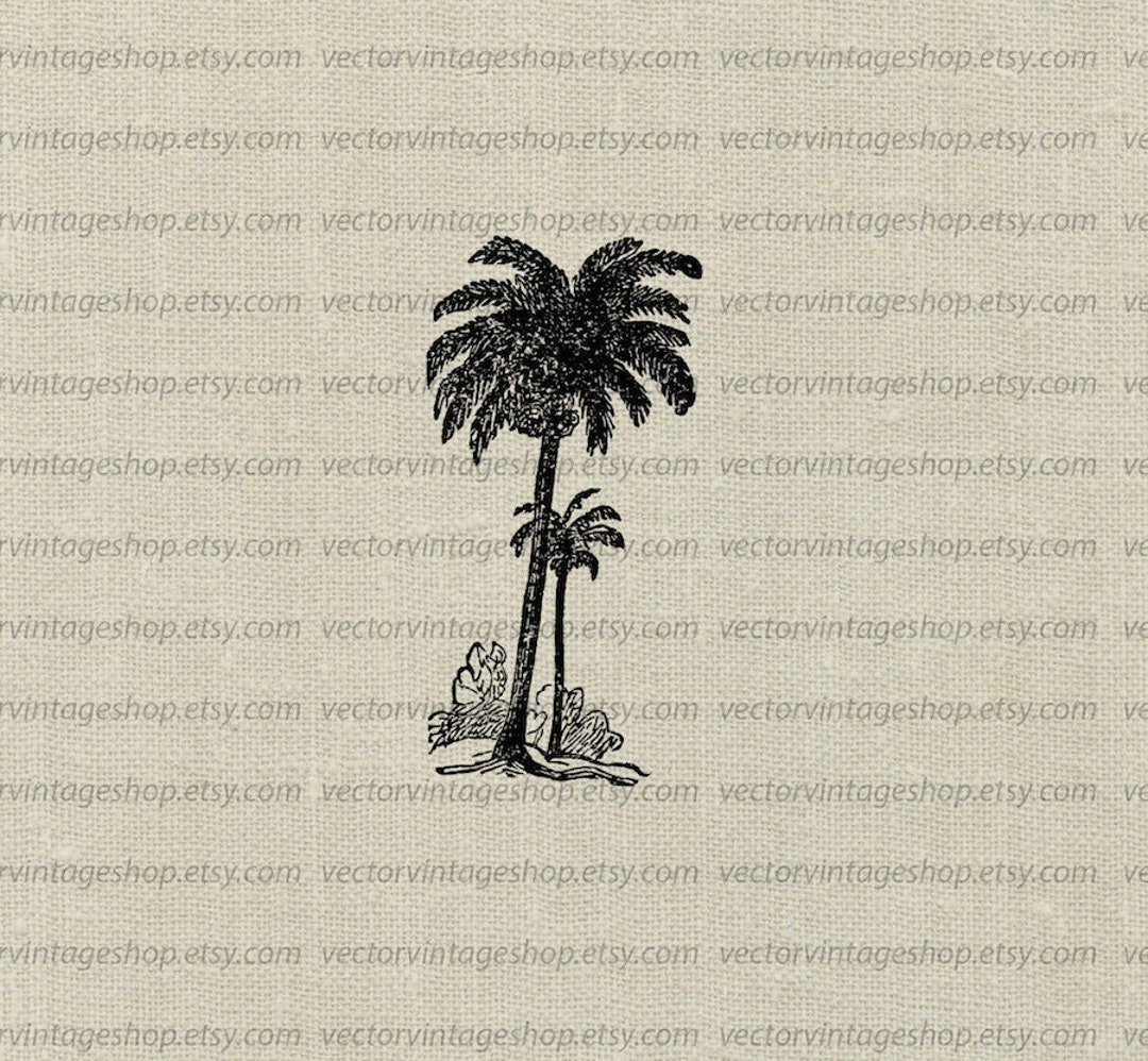 COCONUT TREES SVG File, Vintage Style Vector Illustration, Tropical ...