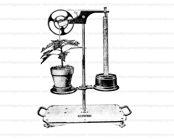 Science Scale Clipart Black