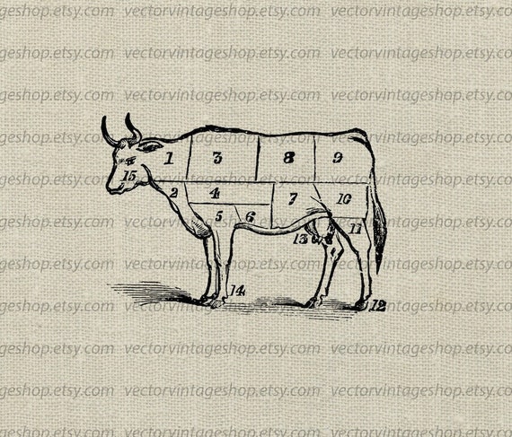 Vintagebeef Bubba Eating Rain