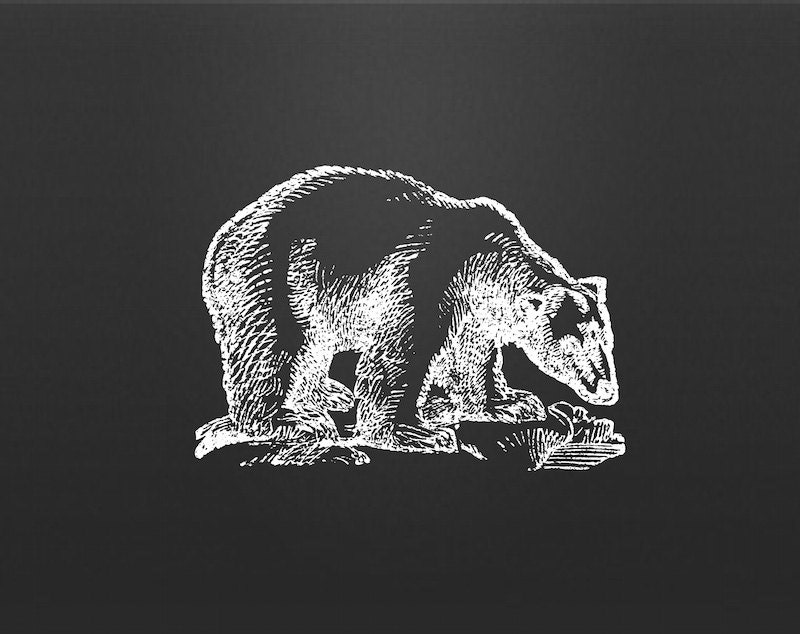 POLAR BEAR SVG File, Vintage Vector Clipart, Wild Animal, Endangered ...