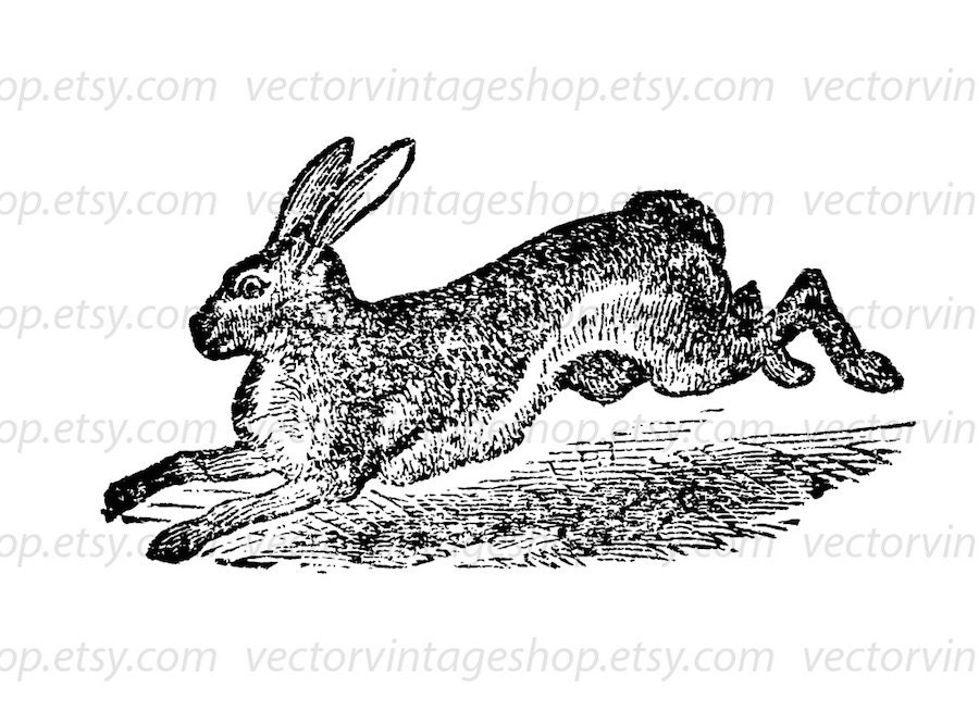 BUNNY SVG File, Vintage Rabbit Illustration, Easter Decor, Hare ...