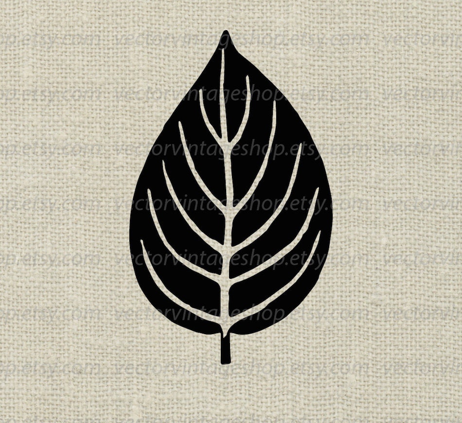 LEAF SILHOUETTE SVG, Round Leaf Vector Clip Art, Botanical Art ...