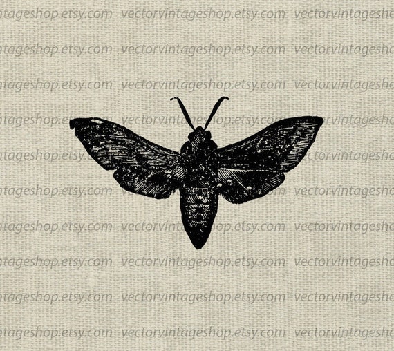 MOTH SVG File Vintage Vector Graphic Sphinx Moth Insect | Etsy