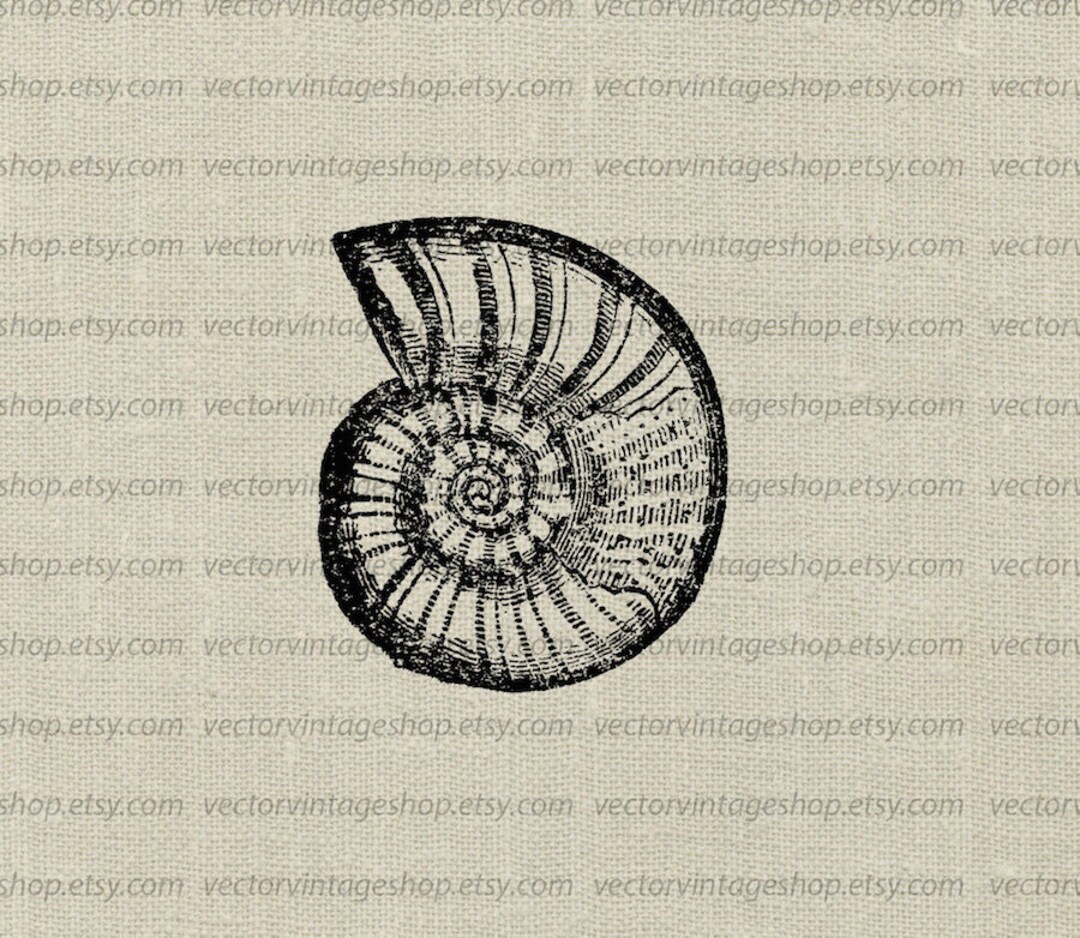 SEASHELL SVG File, Vintage Spiral Seashell, Printable Download, Summer ...