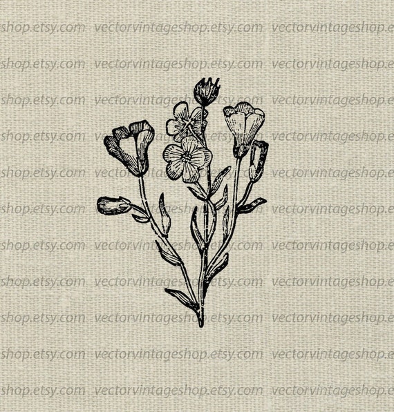 FLAX SVG File Flower Vector Graphic Flax Blossom Plant | Etsy