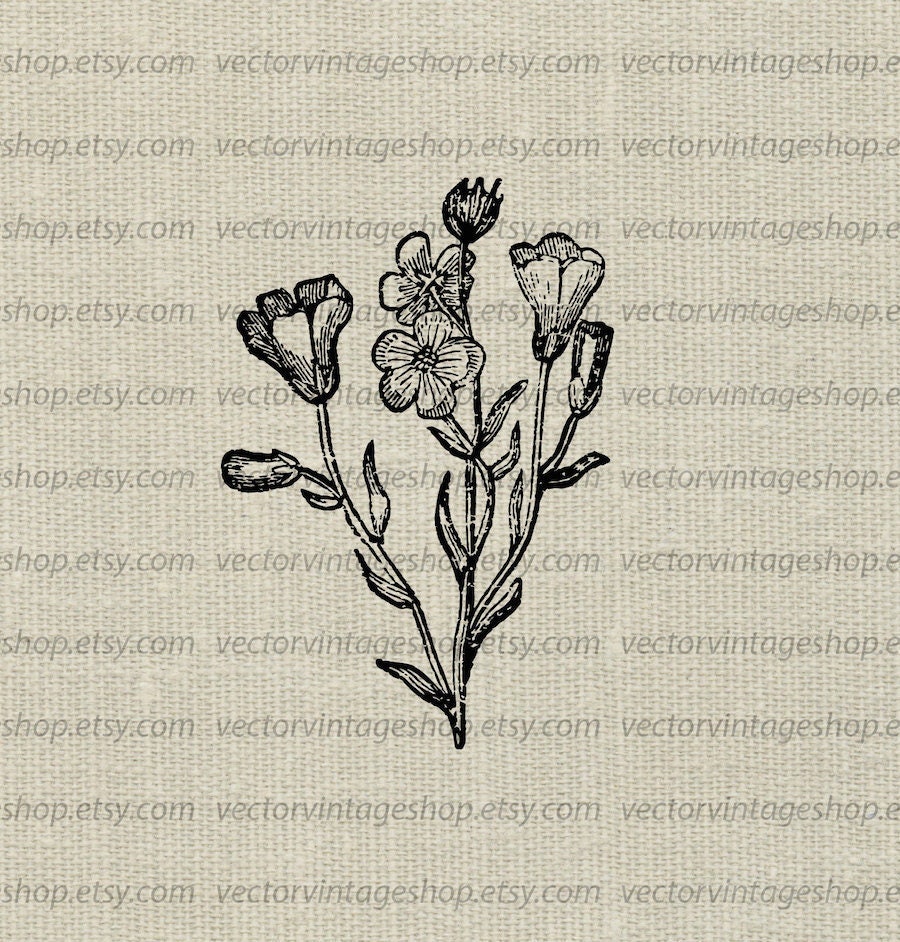 FLAX SVG File, Flower Vector Graphic, Flax Blossom, Plant Clipart ...