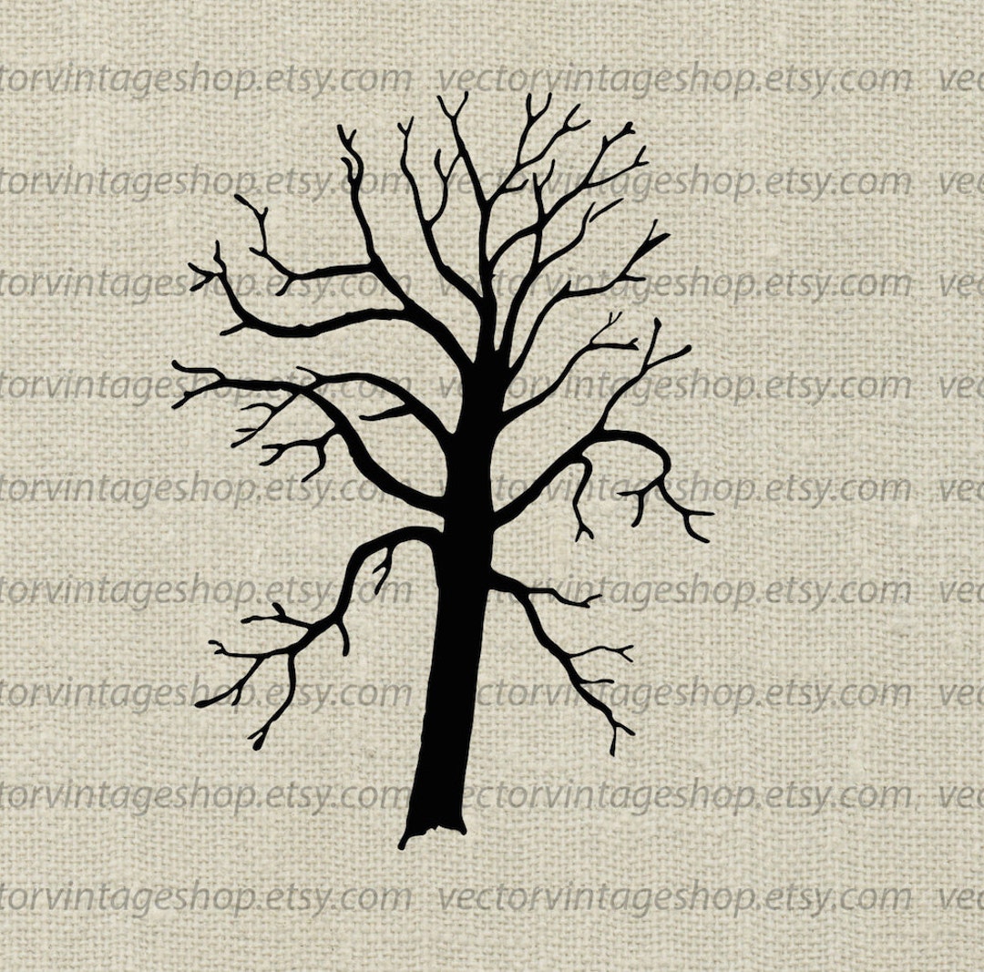 BEECH TREE SVG File, Tree Silhouette Clip Art, Bare Leafless Tree ...