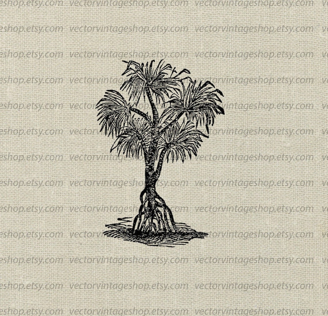 SCREWPINE Tree SVG File, Vintage Tree Vector, Pandanus, Tropical Theme ...