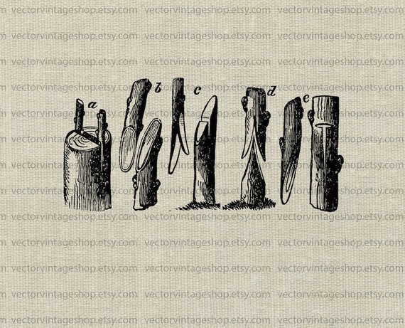 TREE GRAFTING SVG File Vintage Style Illustration Grafting | Etsy