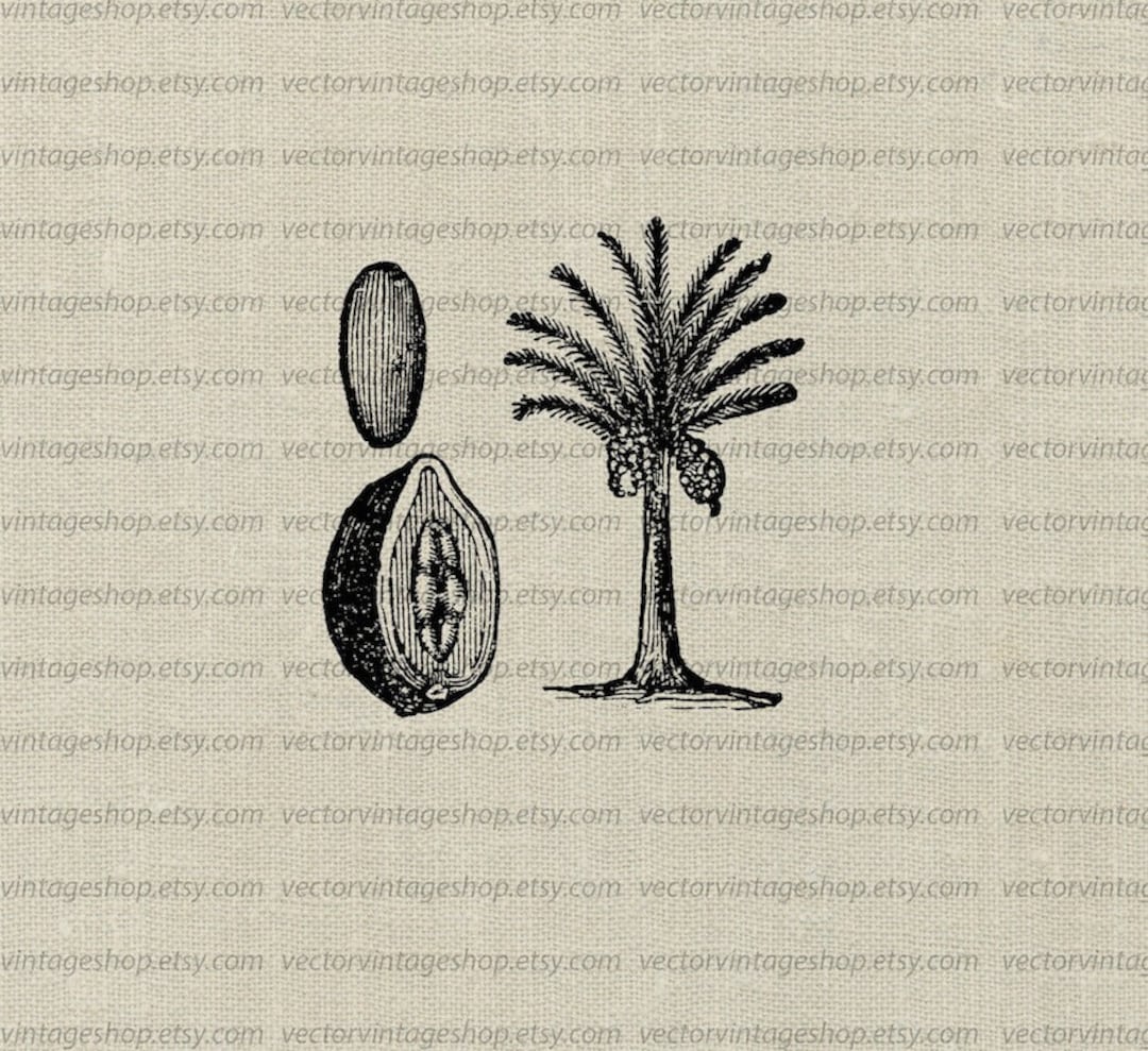 DATE TREE SVG File, Date Palm Vector, Instant Download, Vintage ...