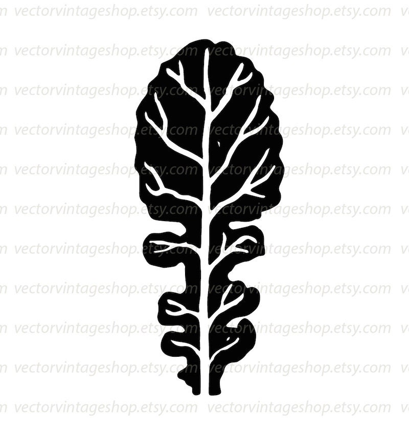 KALE SVG File, Silhouette Clipart, Vegetable Leaves Vector Clip Art ...