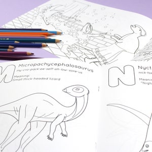 Two Pack of Colouring Books - ABC Dinosaur, Dinosaurs Doing Stuff ...
