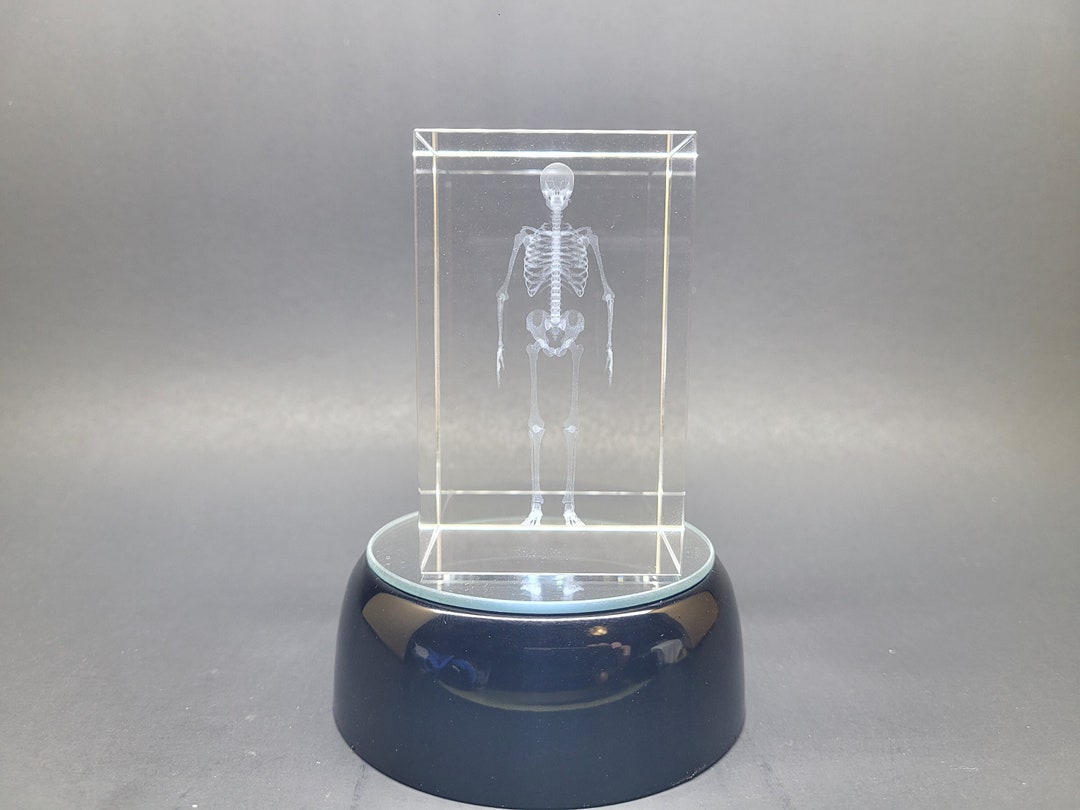 Anatomical Skeleton 3D Crystal Light - Etsy