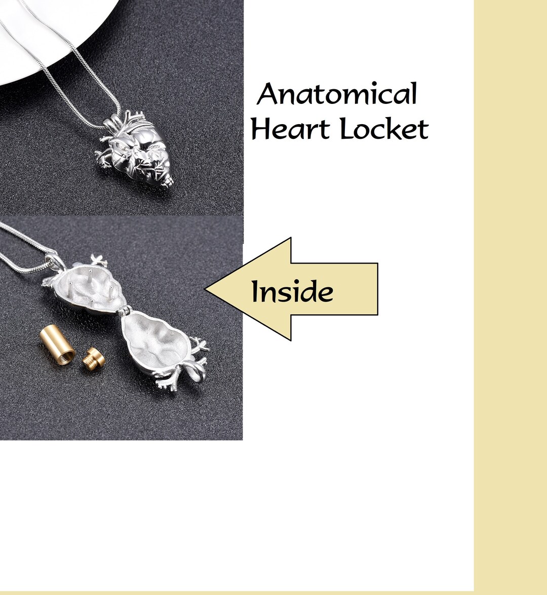Unisex Anatomical Heart Locket Stainless Steel Memorial - Etsy
