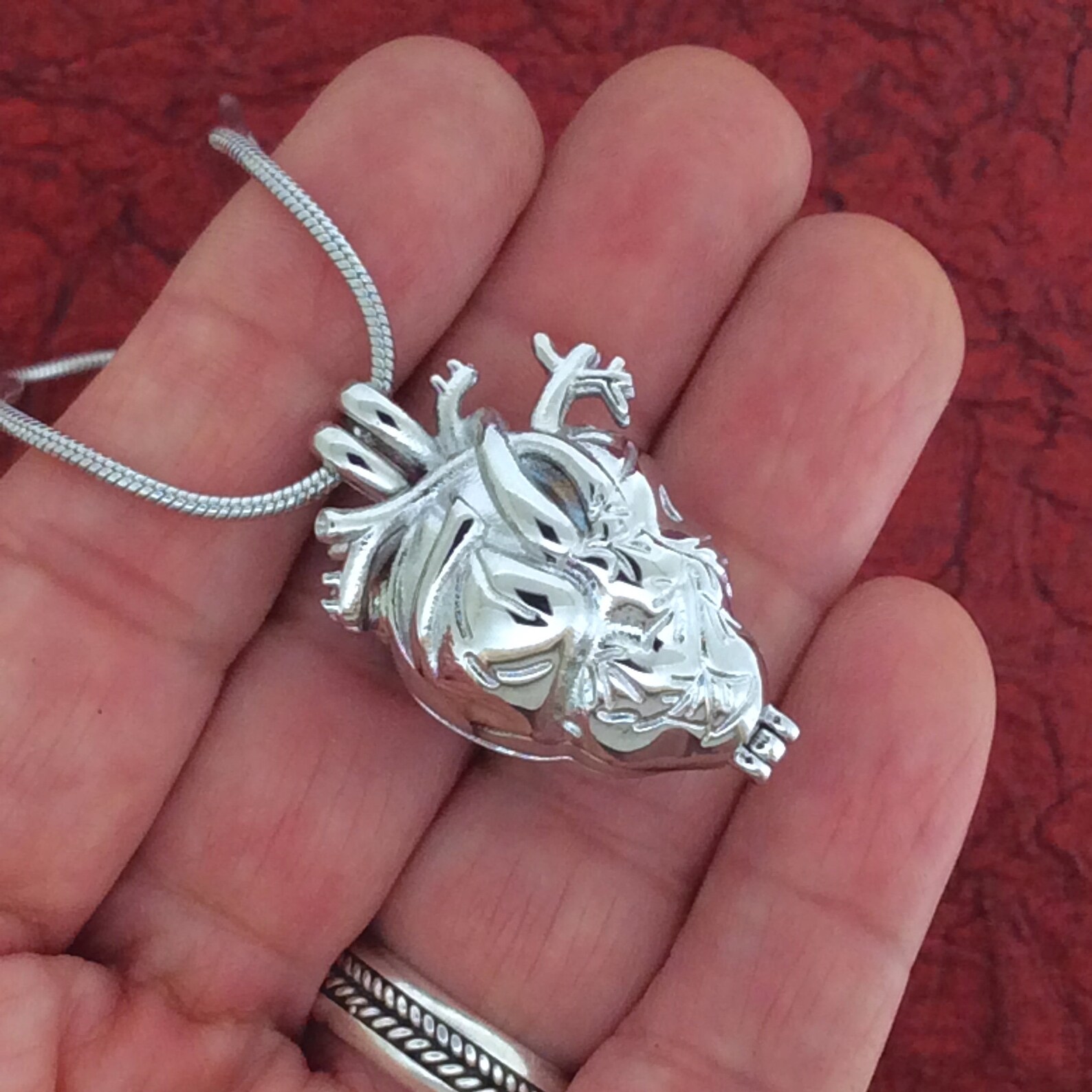 Unisex Anatomical Heart Locket Stainless Steel Memorial - Etsy