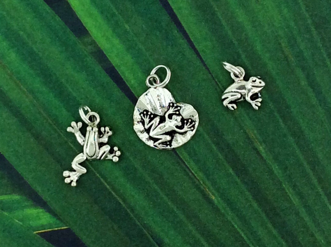 Puerto Rico Coqui Charms Charm for Necklace , Bracelet or Keychain Gift ...