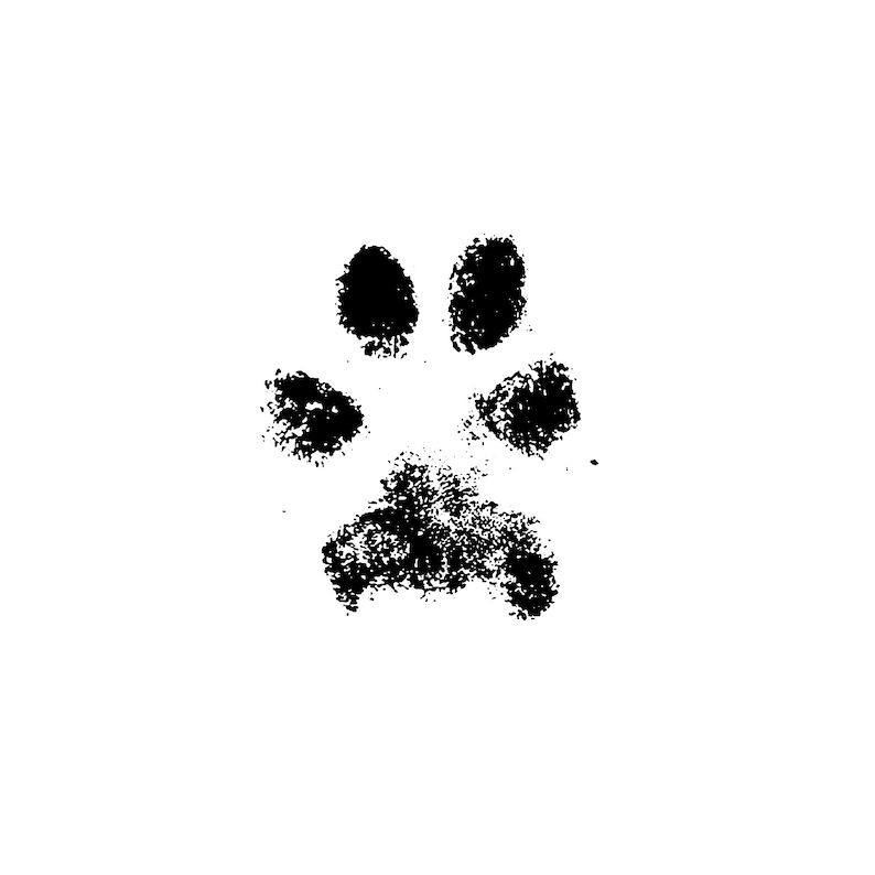 Personalised Original Paw Print, Free-standing Engraved Slate Pet ...