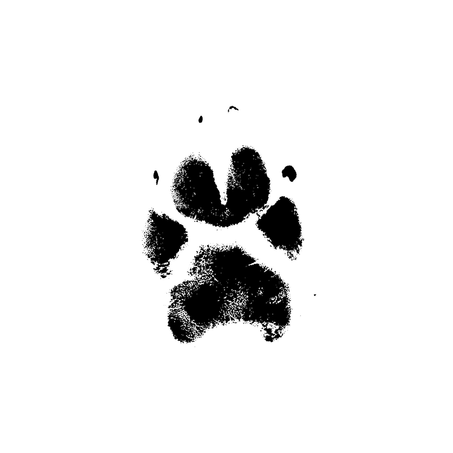 Personalised Original Paw Print Free-standing Engraved Slate - Etsy UK