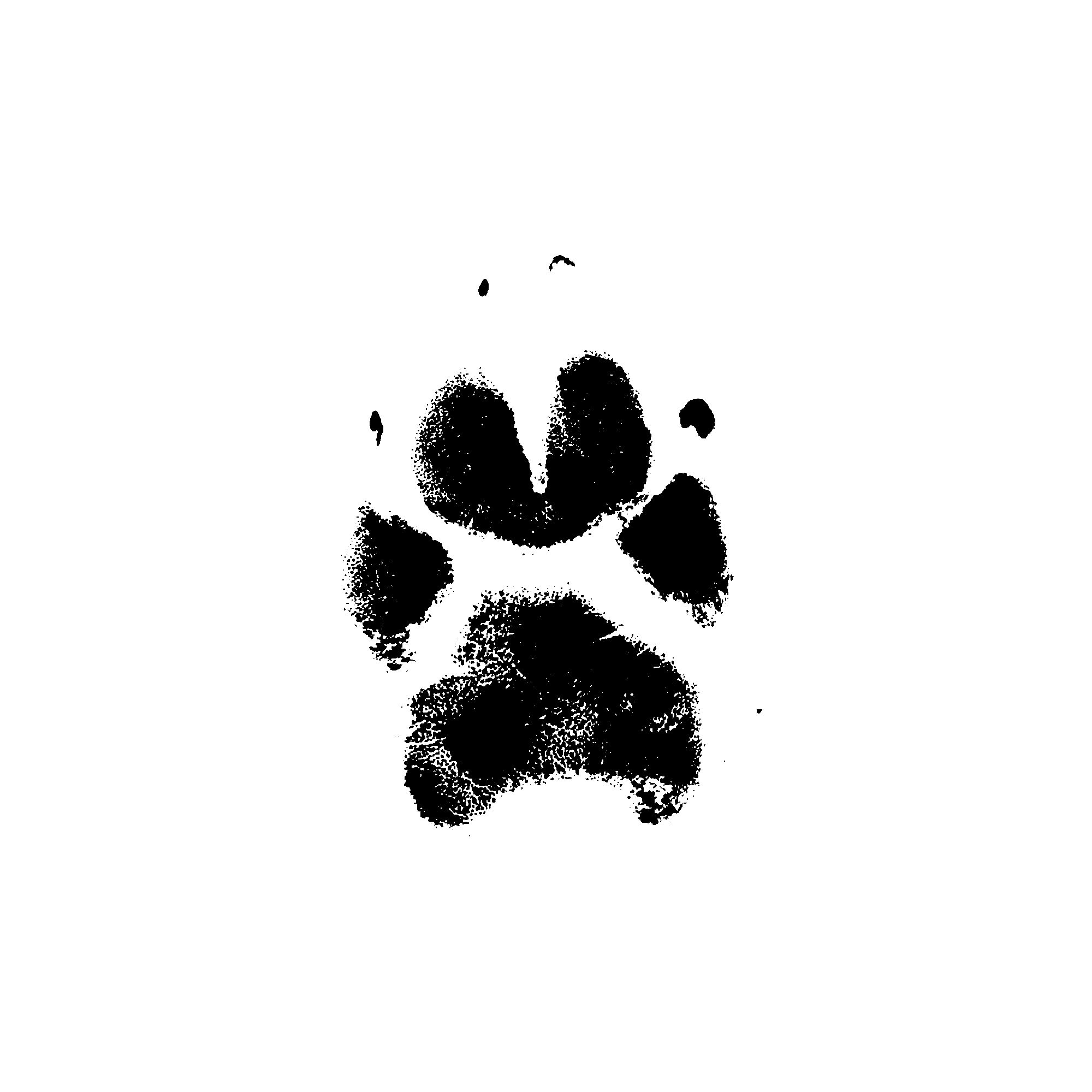 Personalised Original Paw Print Free-standing Engraved Slate - Etsy UK