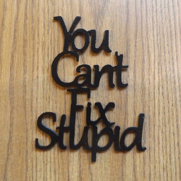 Cant Fix Stupid Sign - Etsy