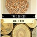 Round Wood Wall Art , Tree Rounds Decor, Holzwand Kunst, Tree Slices ...