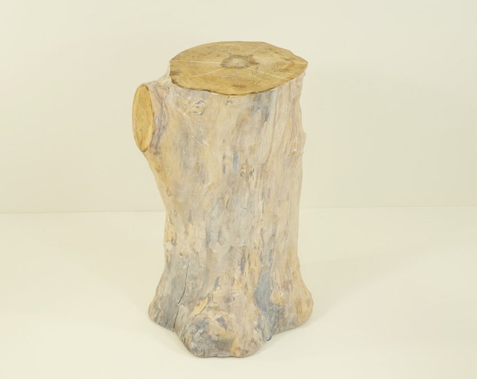 White Stump Whitewashed Trunk Tree Stump Table Honey Top Baumstamm ...