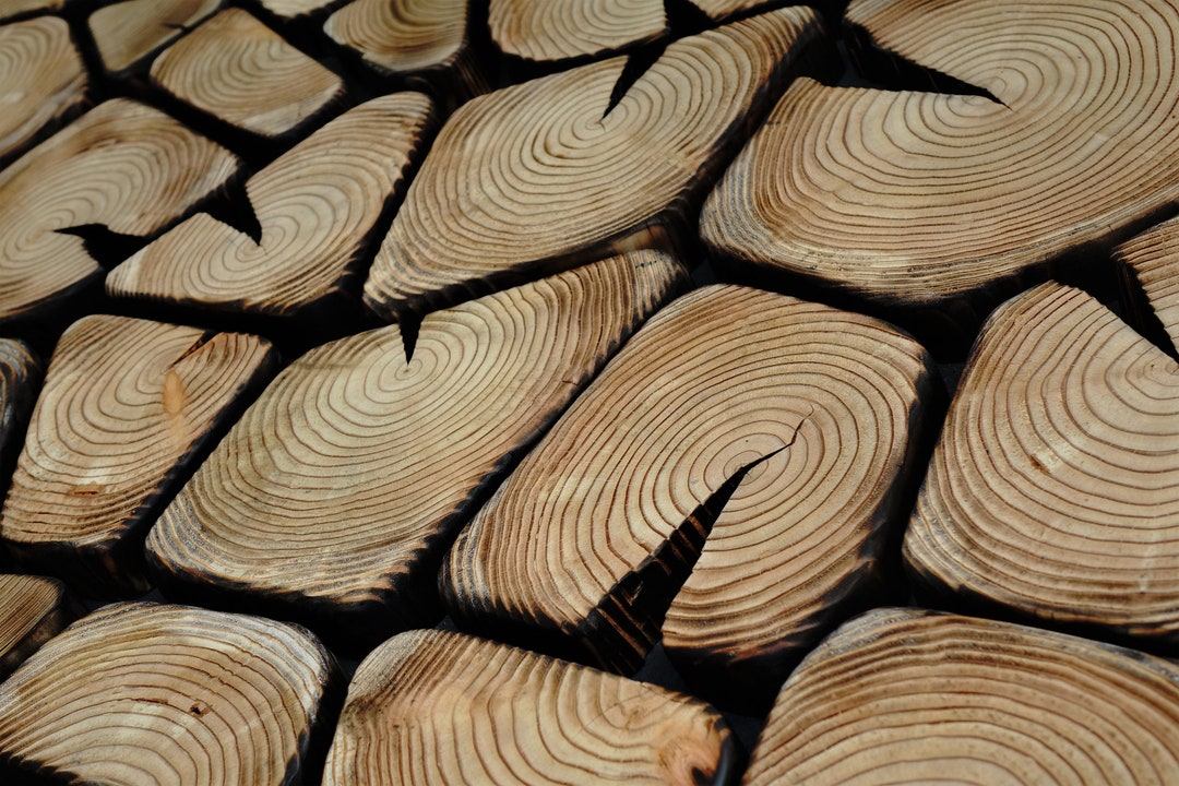 Wood Burned Wall Art, Wall Panel for Home and Office, Natural Wooden ...