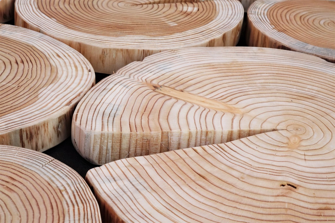 Large Tree Slabs Wall Art, Wood Wall Panel, Large Wood Wall Art, Mosaic ...