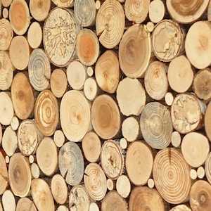 Round Wood Wall Art , Tree Rounds Decor, Holzwand Kunst, Tree Slices ...