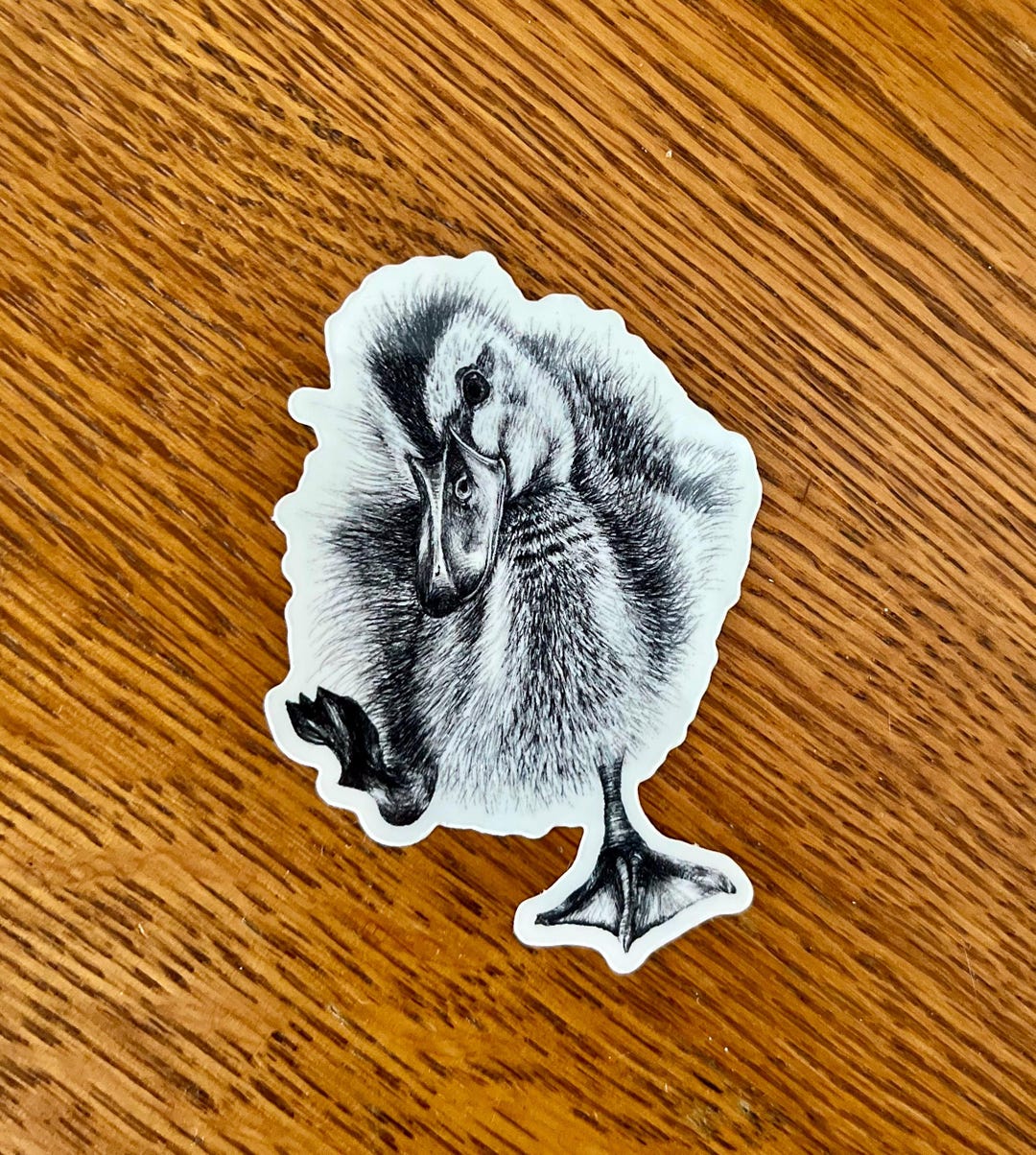 Duck Vinyl Stickers | Duckling Ink Art | Mothers Day Gifts | Easter ...